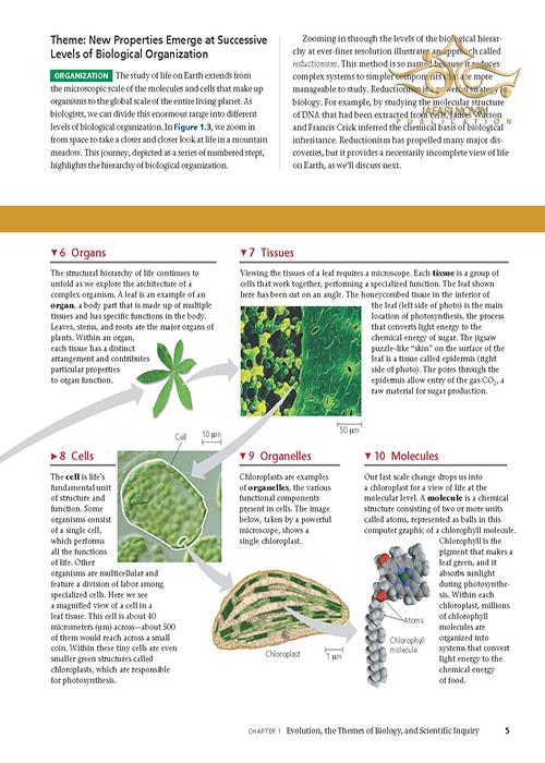 Campbell Biology (11th Edition) 2016کتاب بیولوژی کمپل