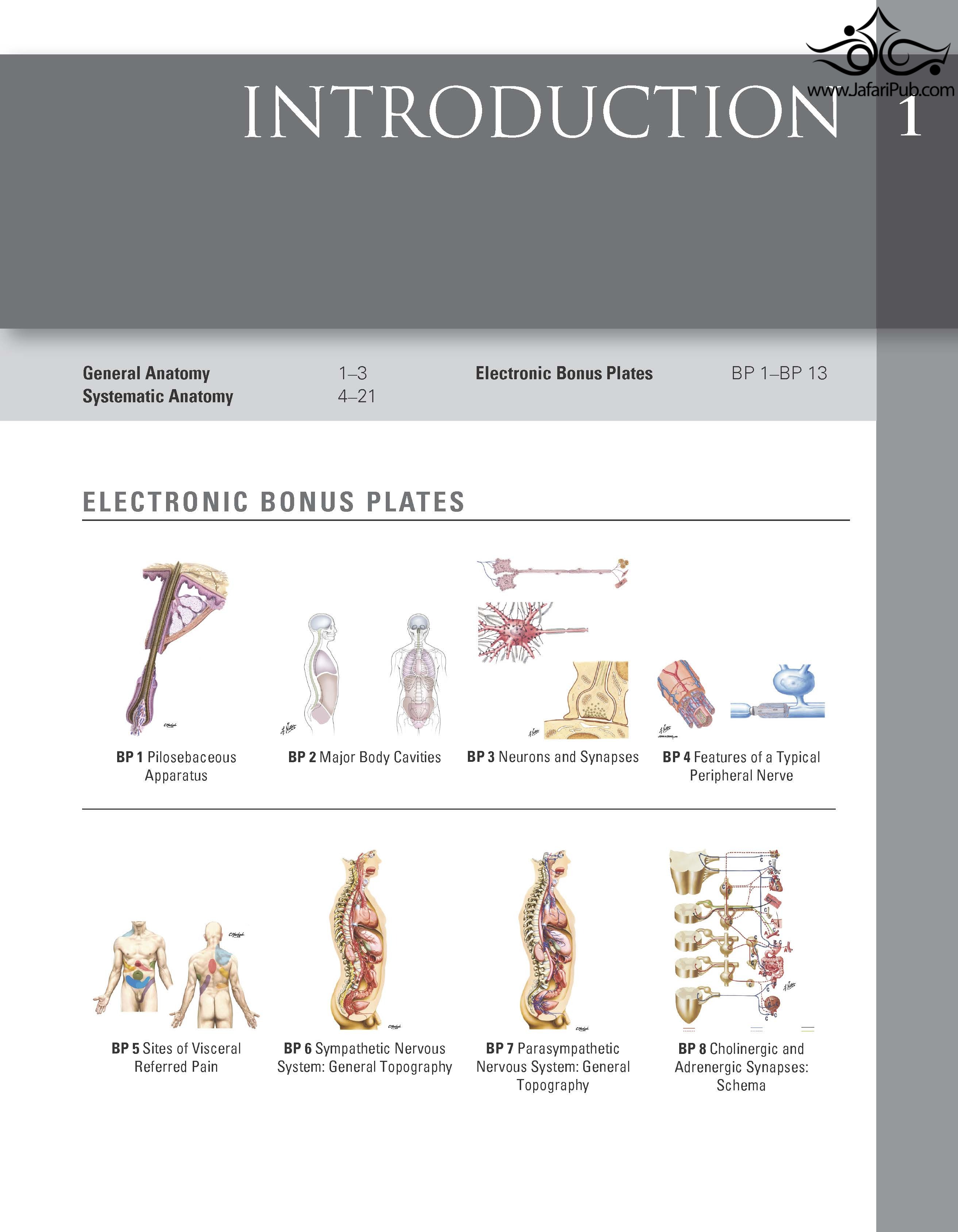 Netter Atlas of HUMAN ANATOMY 8e + Appendix (تحریر)